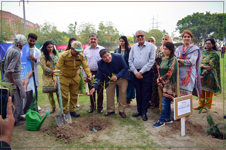 National Green Day Celebration – Go Green Together | AUMDC